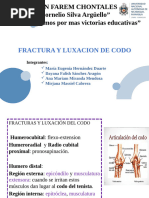Clasificacion de Gartland 2 | PDF | Sistema musculoesquelético