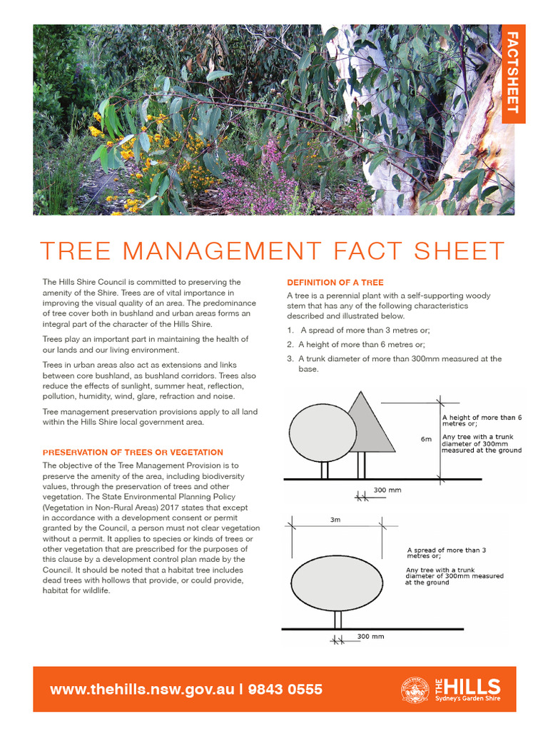 Hills Shire Tree Management Guide | PDF | Trees | Pruning