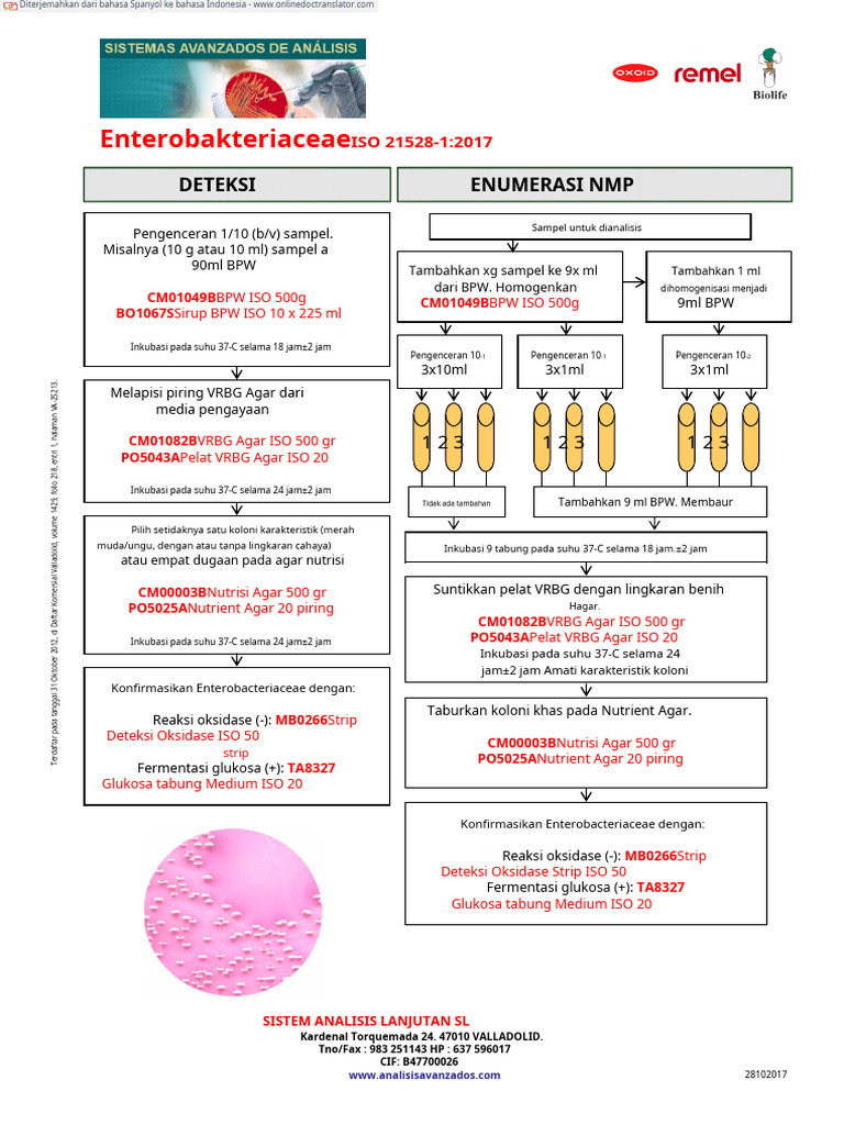 Enterobacterias 21528 1.es - Id | PDF