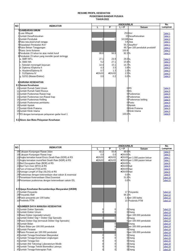 Lampiran Juknis Profil Kes 2022 | PDF