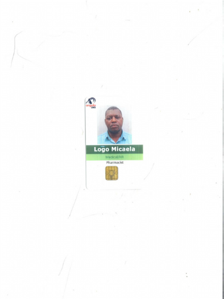 ID - Angola LNG | PDF