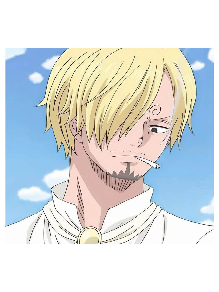 IMG 2996 Comprimido | PDF