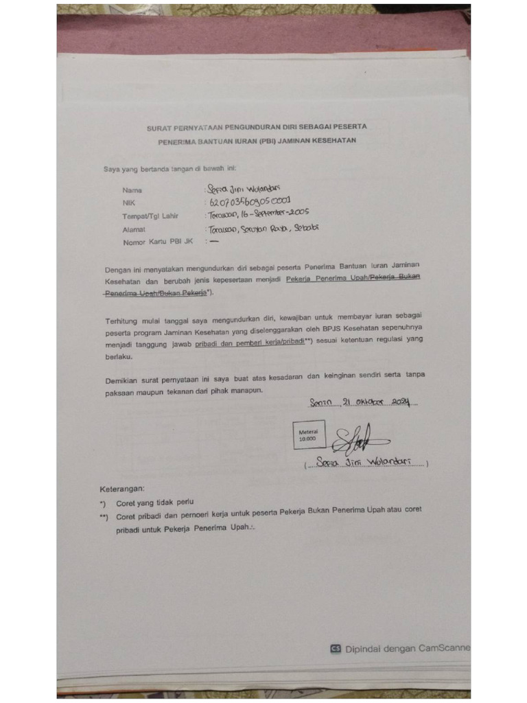 Sefia Jini Wulandari | PDF