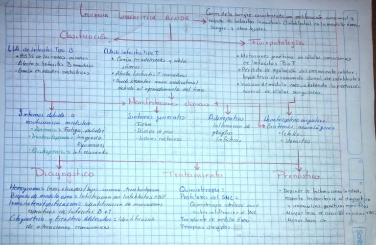 Leucemia Linfocitica Aguda | PDF Leucemia Linfocitica Aguda | PDF