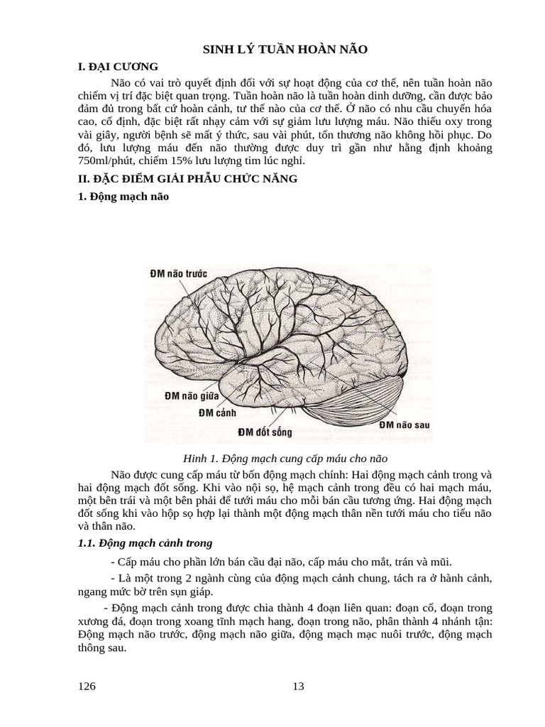 2.sinh Ly Tuan Hoan Nao | PDF