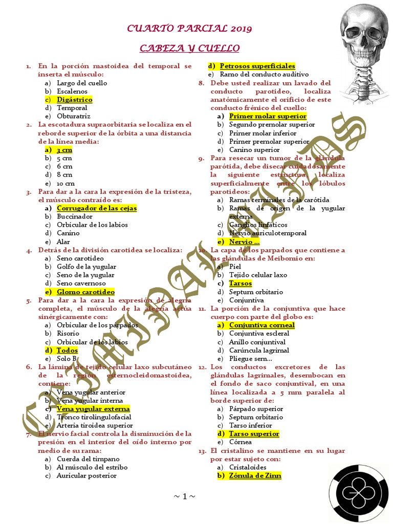 2019 Parcial Cabeza y Cuello-1 | PDF | Cabeza y cuello humanos | Anatomía humana