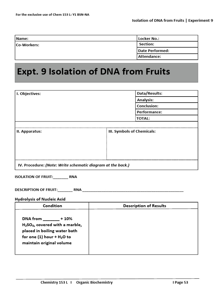 DNA Isolation from Fruits Experiment | PDF | Dna | Hydrolysis