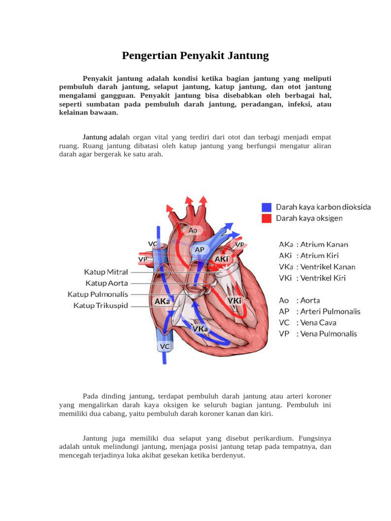 Pengertian Penyakit Jantung | PDF