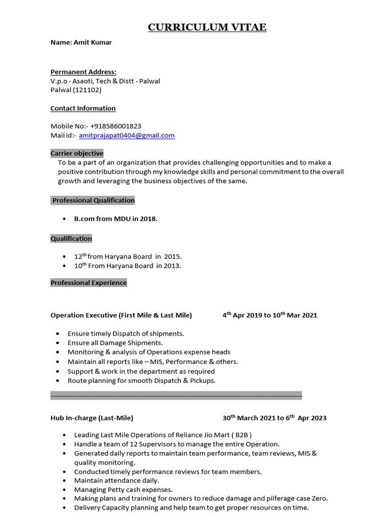 Amit CV | PDF | Business