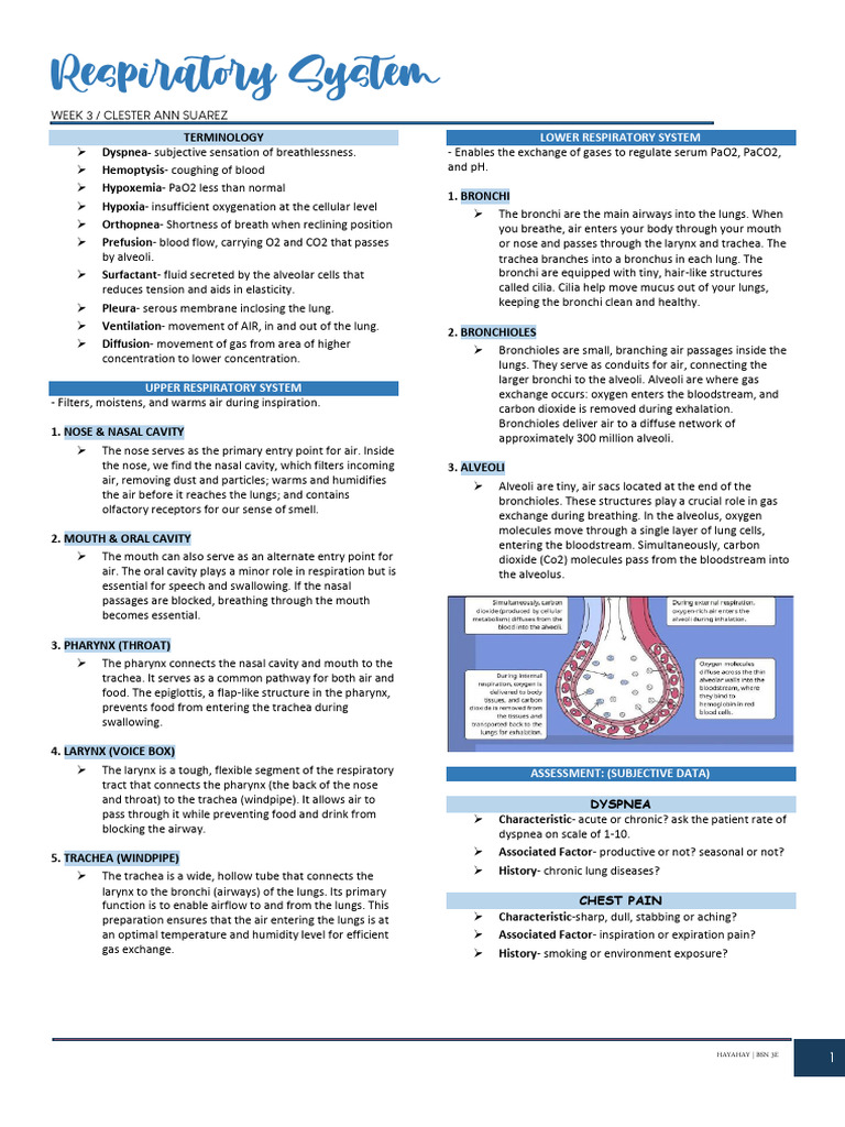 Respiratory | PDF | Respiratory Tract | Lung