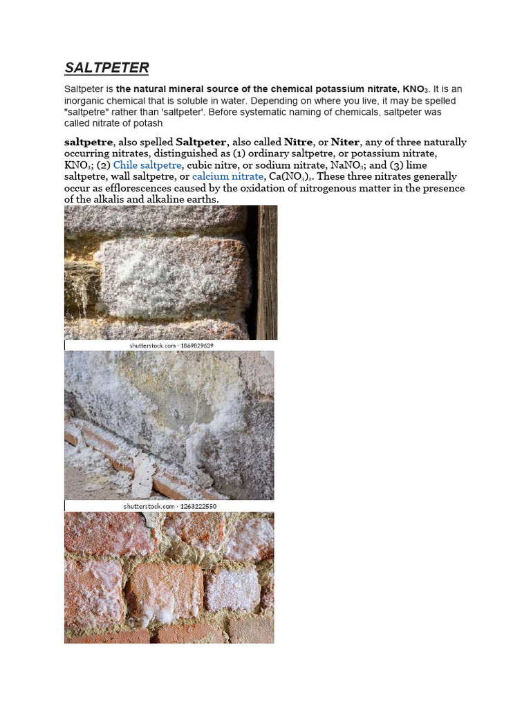 PDF Saltpeter | PDF