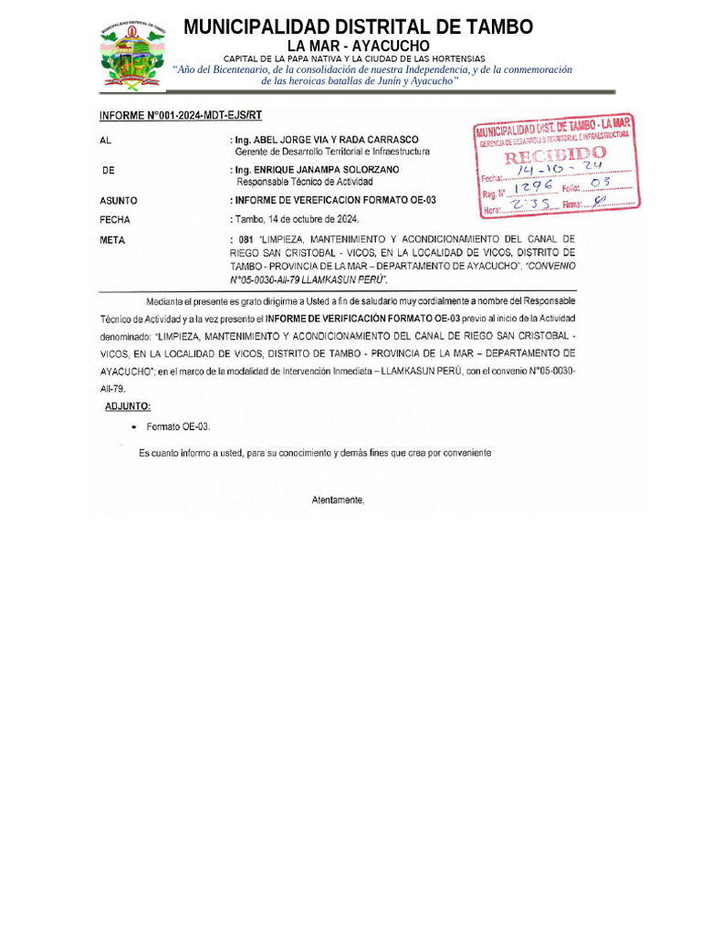 Cargo - Informe de Verificacion | PDF | Historia