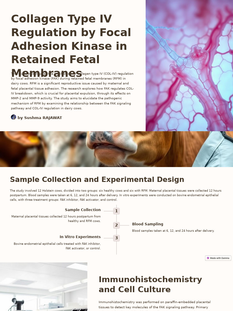 Collagen Type IV Regulation by Focal Adhesion Kinase in Retained Fetal ...