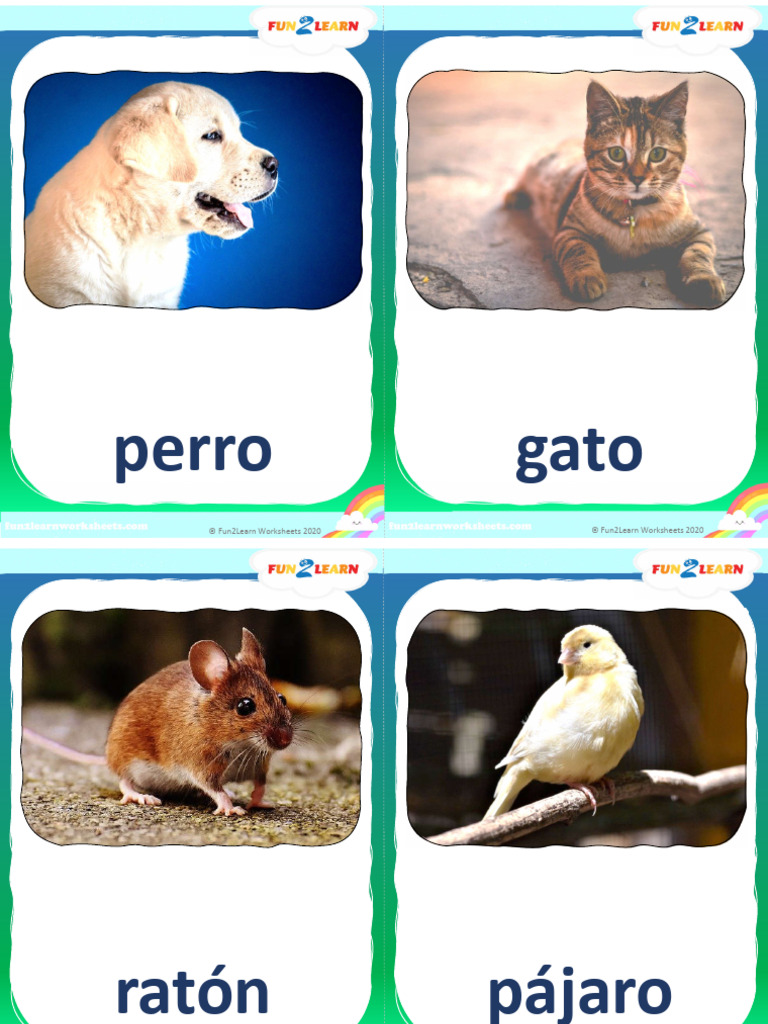 Flashcards Perro Gato Ratón Pájaro Pez León f2l Spanish | PDF