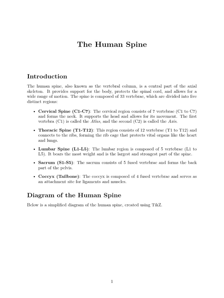 Spine Functions | PDF | Science & Mathematics