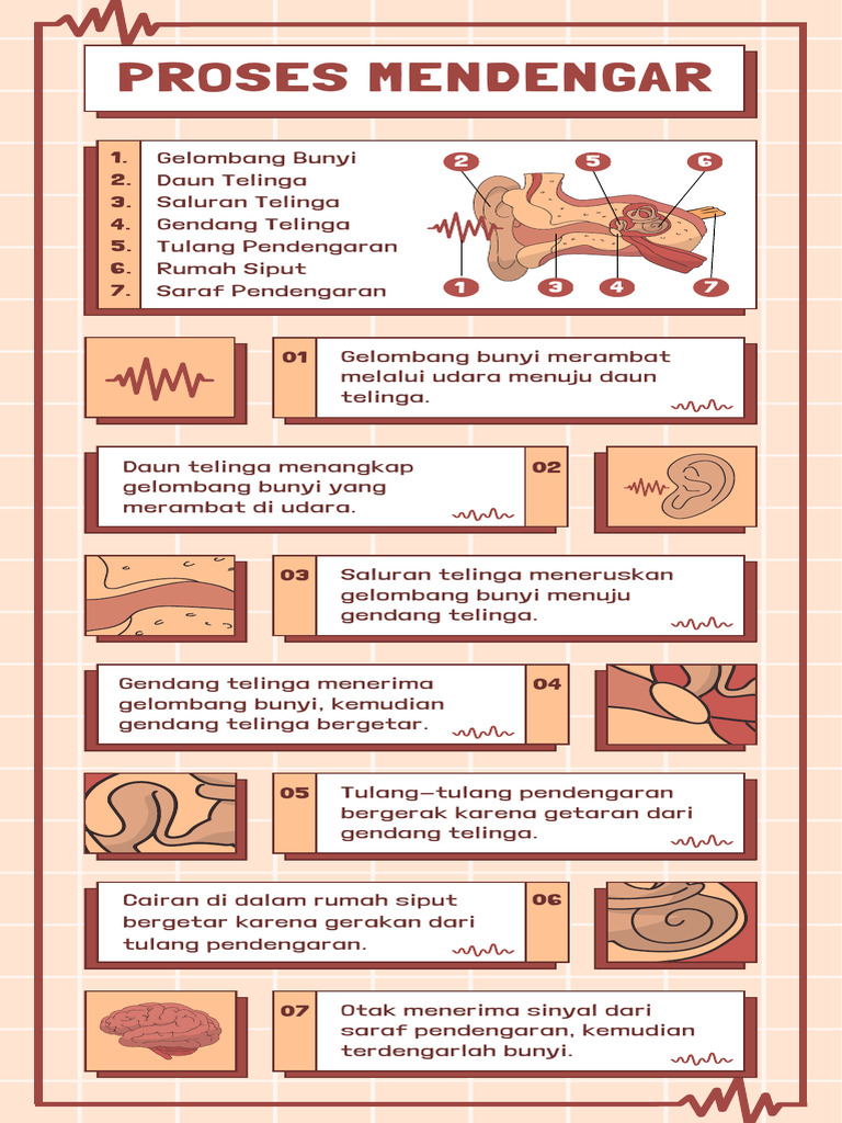 Proses Mendengar Infografis Pendidikan IPAS | PDF