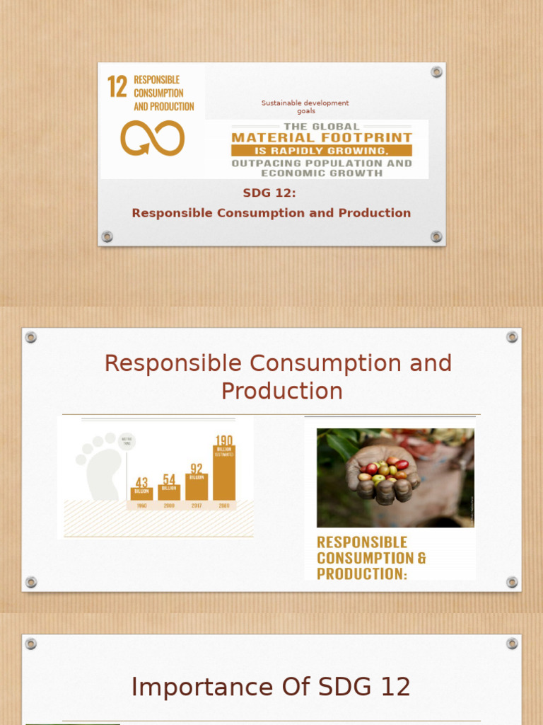 SDG 12 | PDF | Sustainability | Sustainable Development
