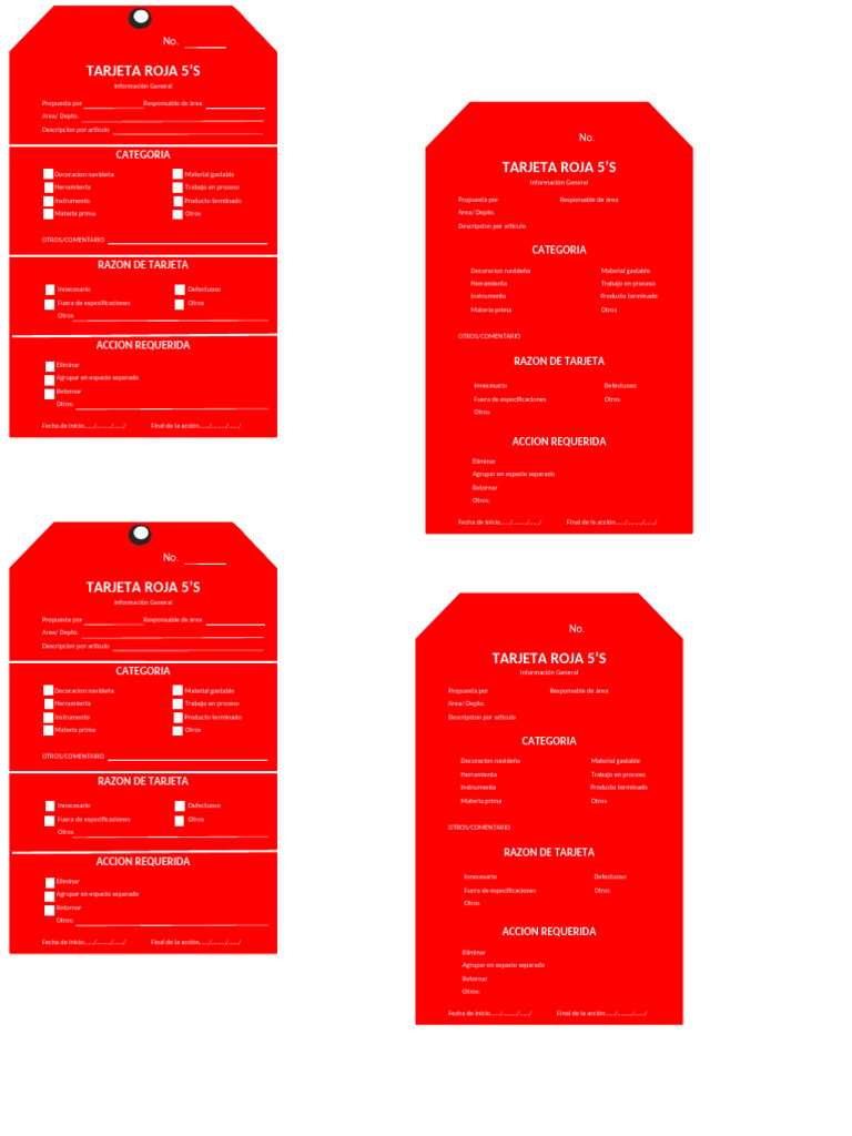 Tarjeta Roja 5S: Formato y Uso | PDF