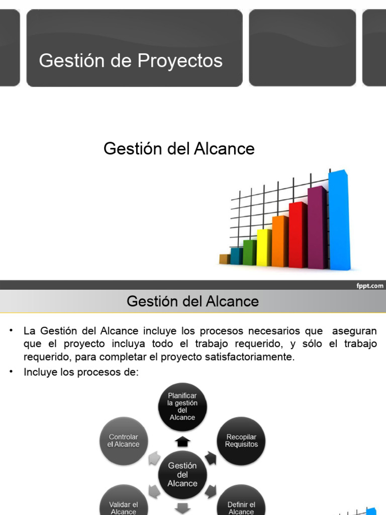 Plan Del Alcance Del Proyecto | PDF | Calidad (comercial) | Business
