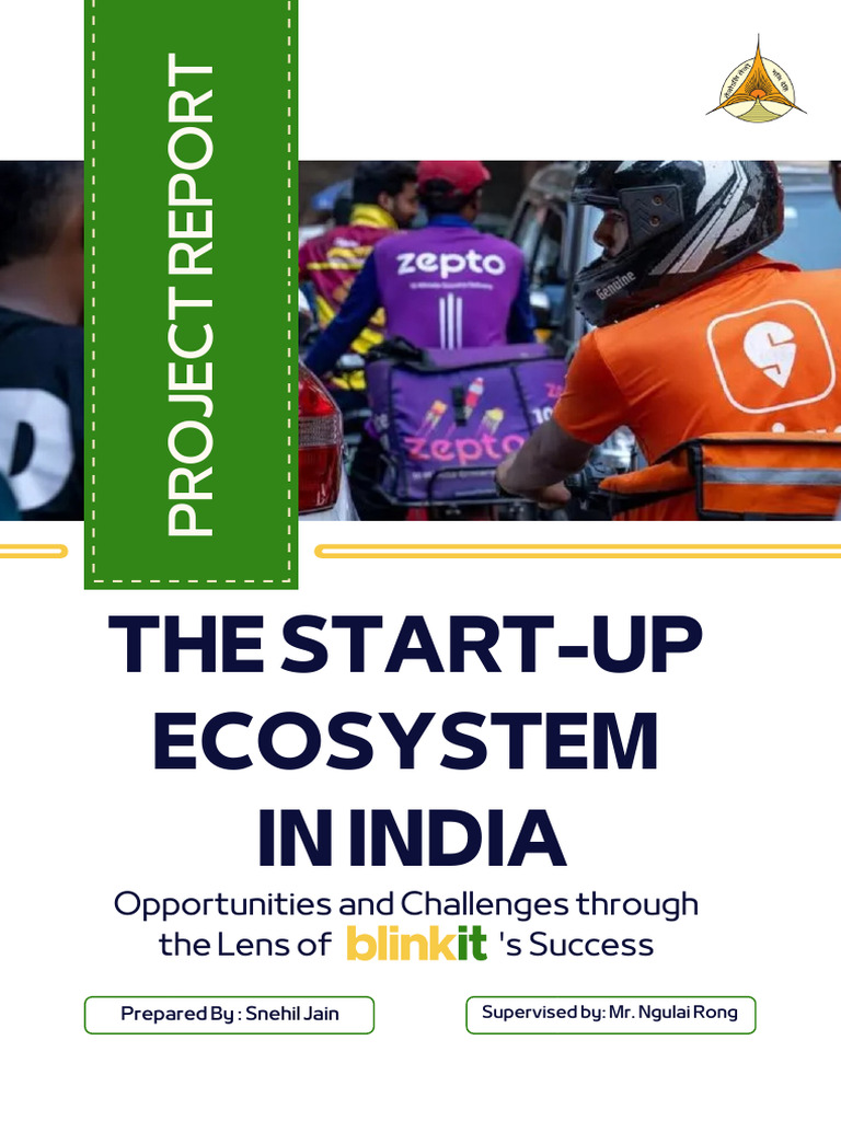 Blinkit Business Model | PDF | Startup Company | Small Business ...