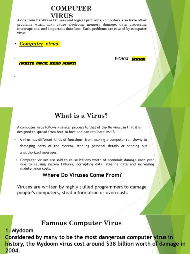 Understanding Computer Viruses and Security | PDF | Computer Virus ...