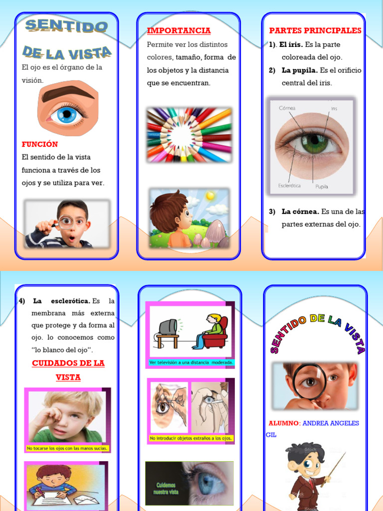 Sentido de La Vista | PDF