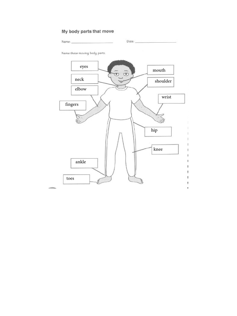 body parts | PDF