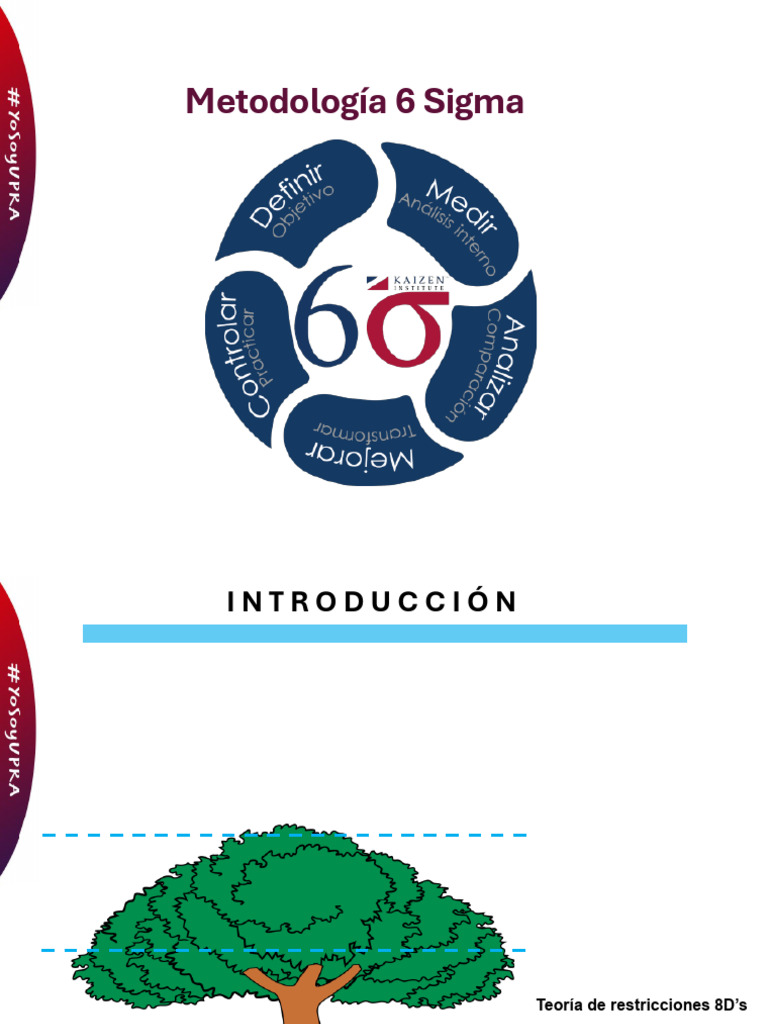 Seis Sigma B | PDF | Six Sigma | Lean Manufacturing