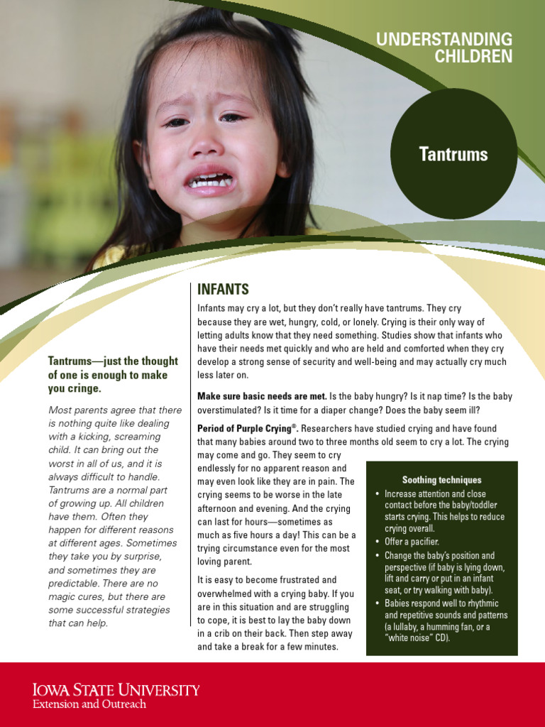 Understanding Tantrums | PDF | Infants | Toddler