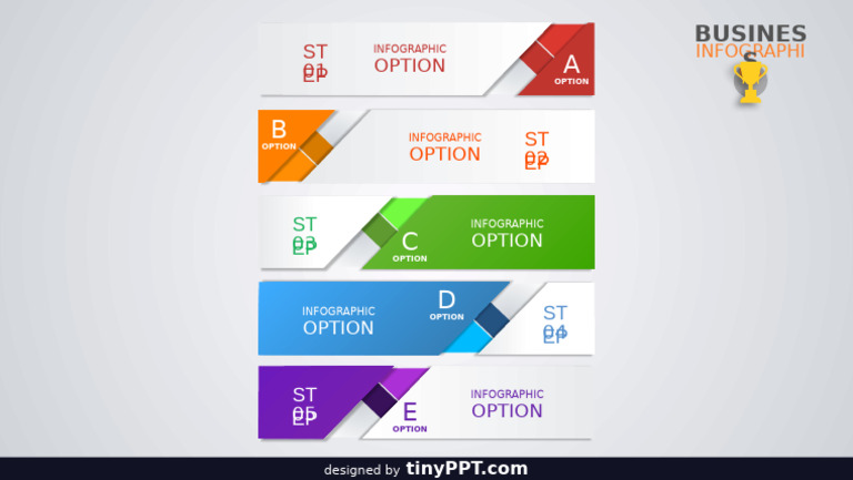 Business Infographic Options | PDF