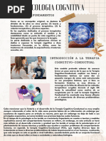 Quemaduras Faciales y Signos de Flogosis | PDF | Quemar | Inflamación