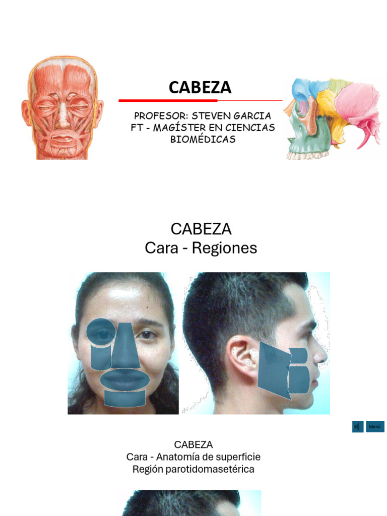 Músculos de La Mimica Facial y Fosa Temporal | PDF | Anatomía humana | Cabeza y cuello humanos