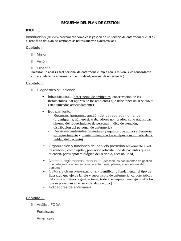 Esquema de Plan de Gestion | PDF | Enfermería | Gestión de recursos humanos