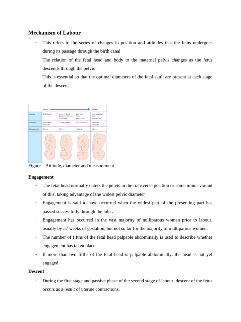 Mechanism of Labour - Lecture File | PDF | Pelvis | Childbirth