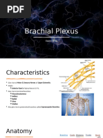 Brachial Plexus - Mnemonics | PDF | Limbs (Anatomy) | Musculoskeletal System