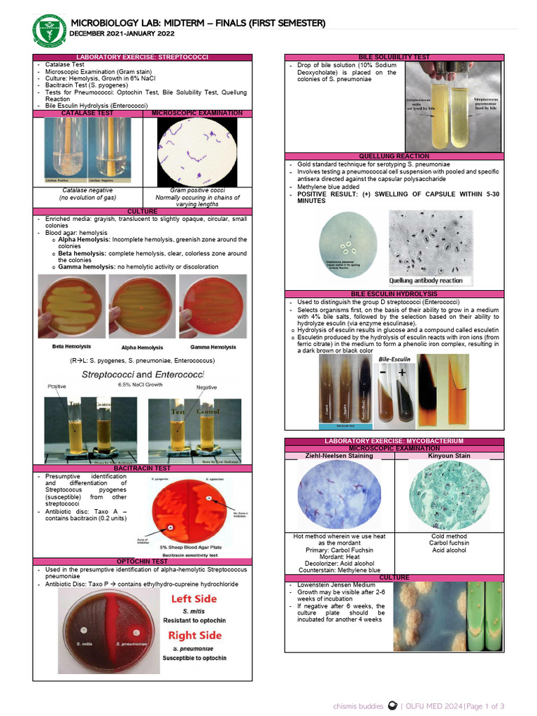 MICROBIO-MIDTERM-LABORATORY | PDF | Staining | Microbiology