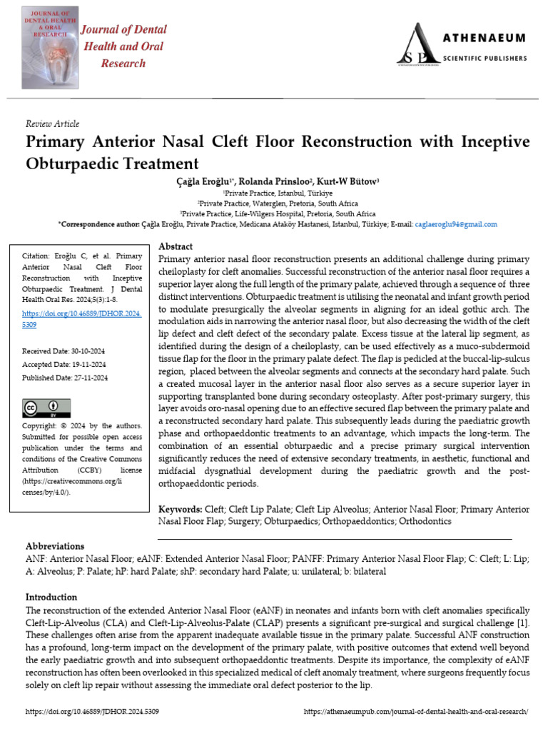 Primary Anterior Nasal Cleft Floor Reconstruction With Inceptive ...