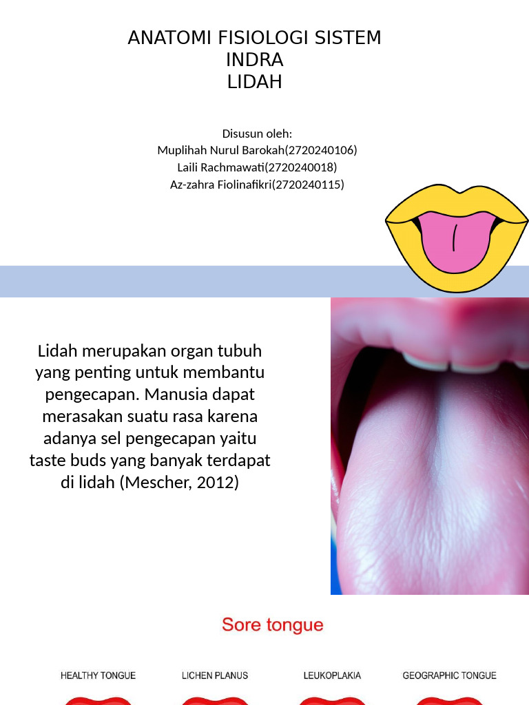 Anatomi Lidah Pentingnya Indra Pengecap | PDF | Seni & Disiplin Bahasa