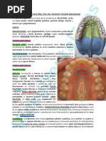 Musculos Del Velo Del Paladar | PDF | Tejido suave | Sistema ...