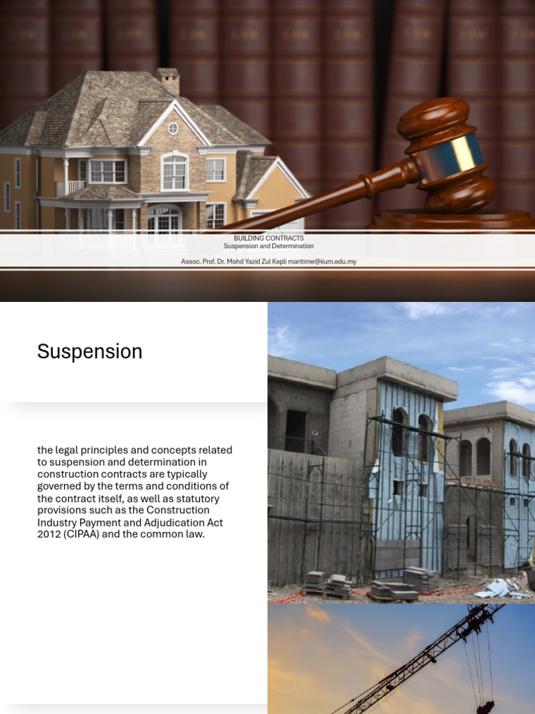 Suspension Determinationa | PDF | Breach Of Contract | Liquidation