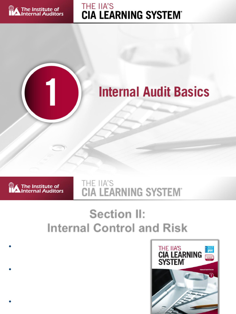 CIA Part-1 (Revision Kit) - Section 2 | PDF | Internal Control | Risk