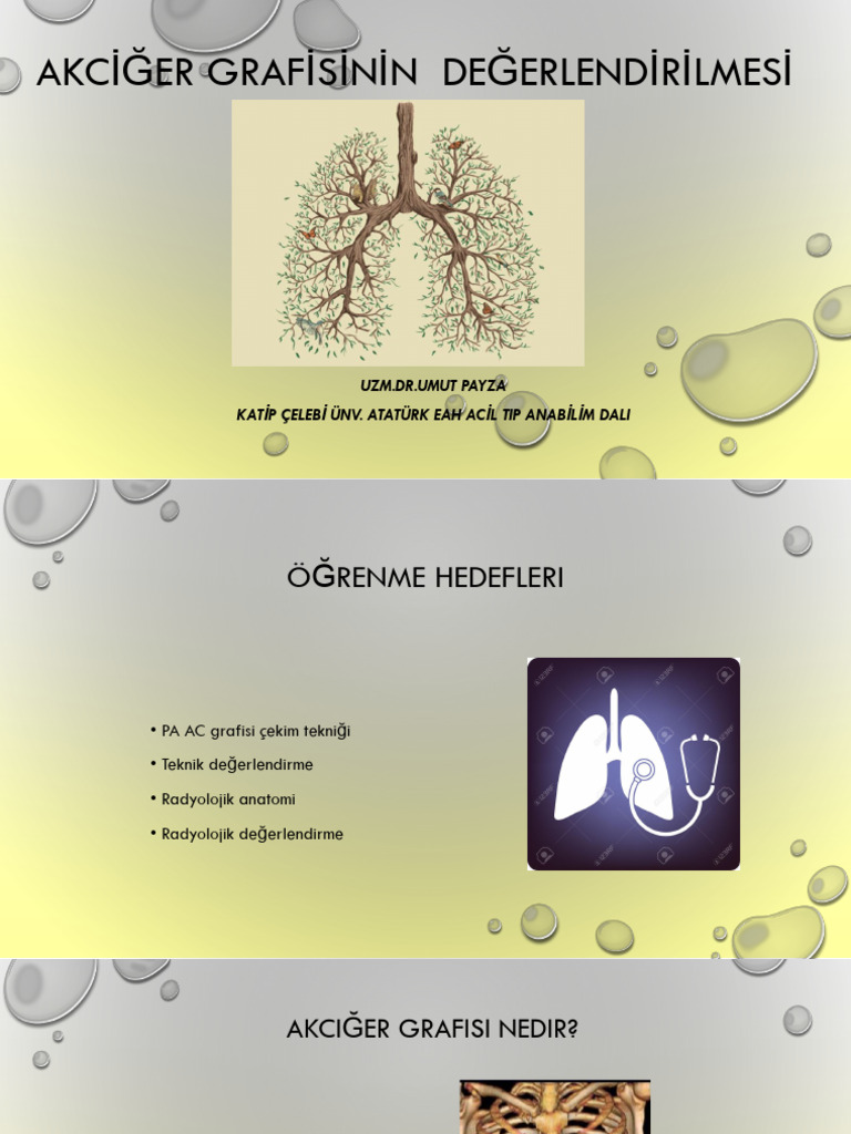 Akciger Qrafisi | PDF