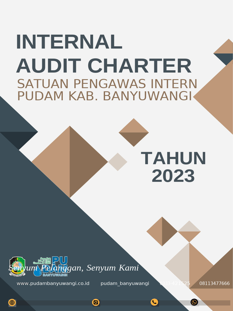 Audit SPI | PDF