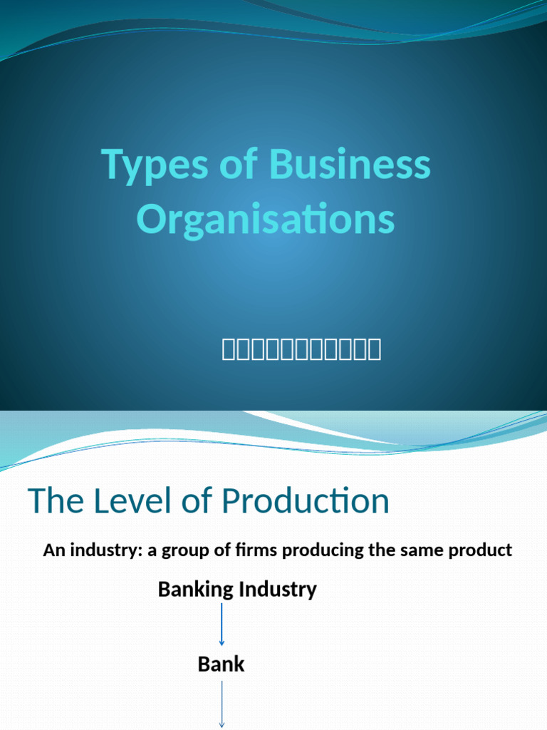 Types of Business Organizations Explained | PDF | Cooperative ...