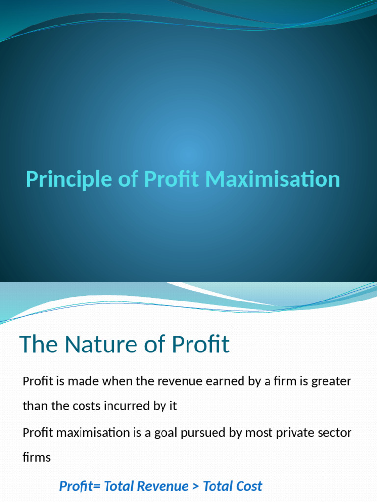 Section 3 Principle of Profit Maximisation | PDF | Profit (Economics ...