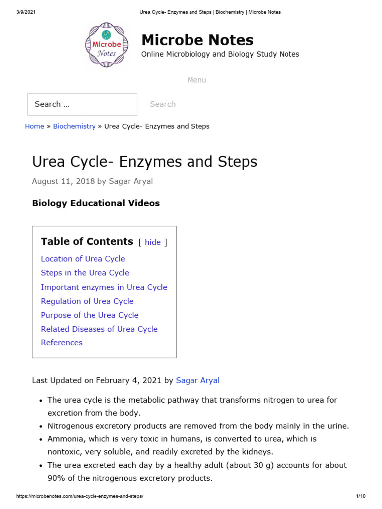 Urea Cycle | PDF | Arginine | Urea