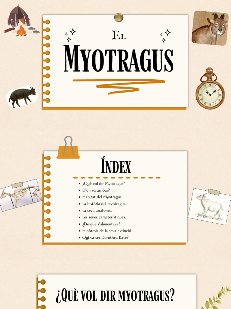 Presentació Del Myotragus | PDF