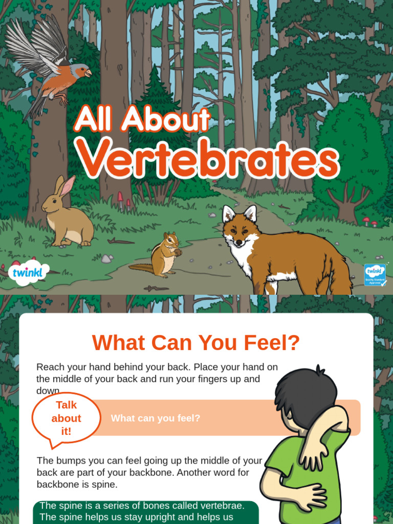 All About Vertebrates Powerpoint Us S 256 | PDF | Vertebral Column ...