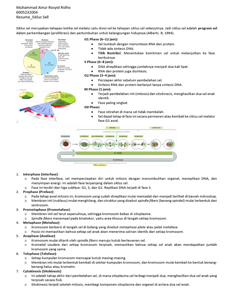Resume (Cell Cycle) - Muhammad Ainur Rosyid Ridho | PDF