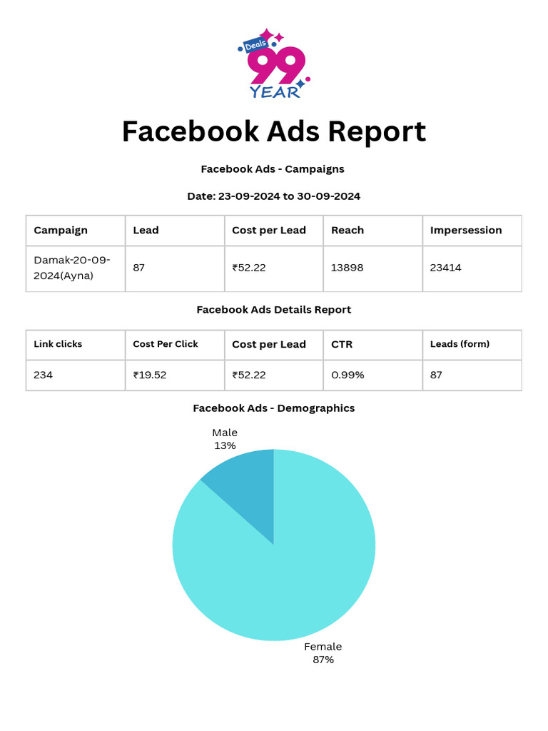Facebook Ads Performance Summary | PDF